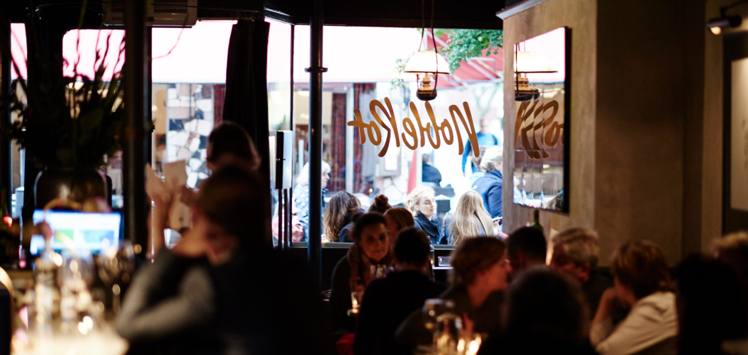 Noble Rot | Shrine to the Vine